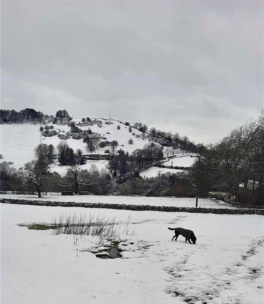 Weather – Bridgend Centre